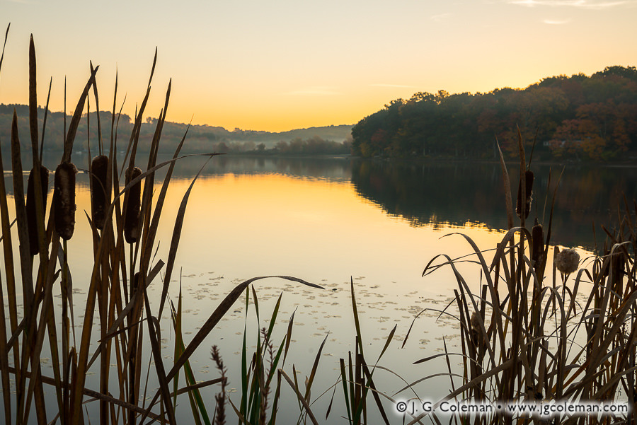 South Bay and Cattails – J. G. Coleman Photography